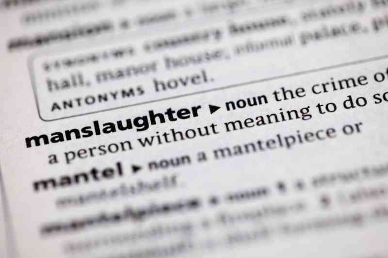 Penalties for Manslaughter Lawyer in Michigan | Over 1.4B Won